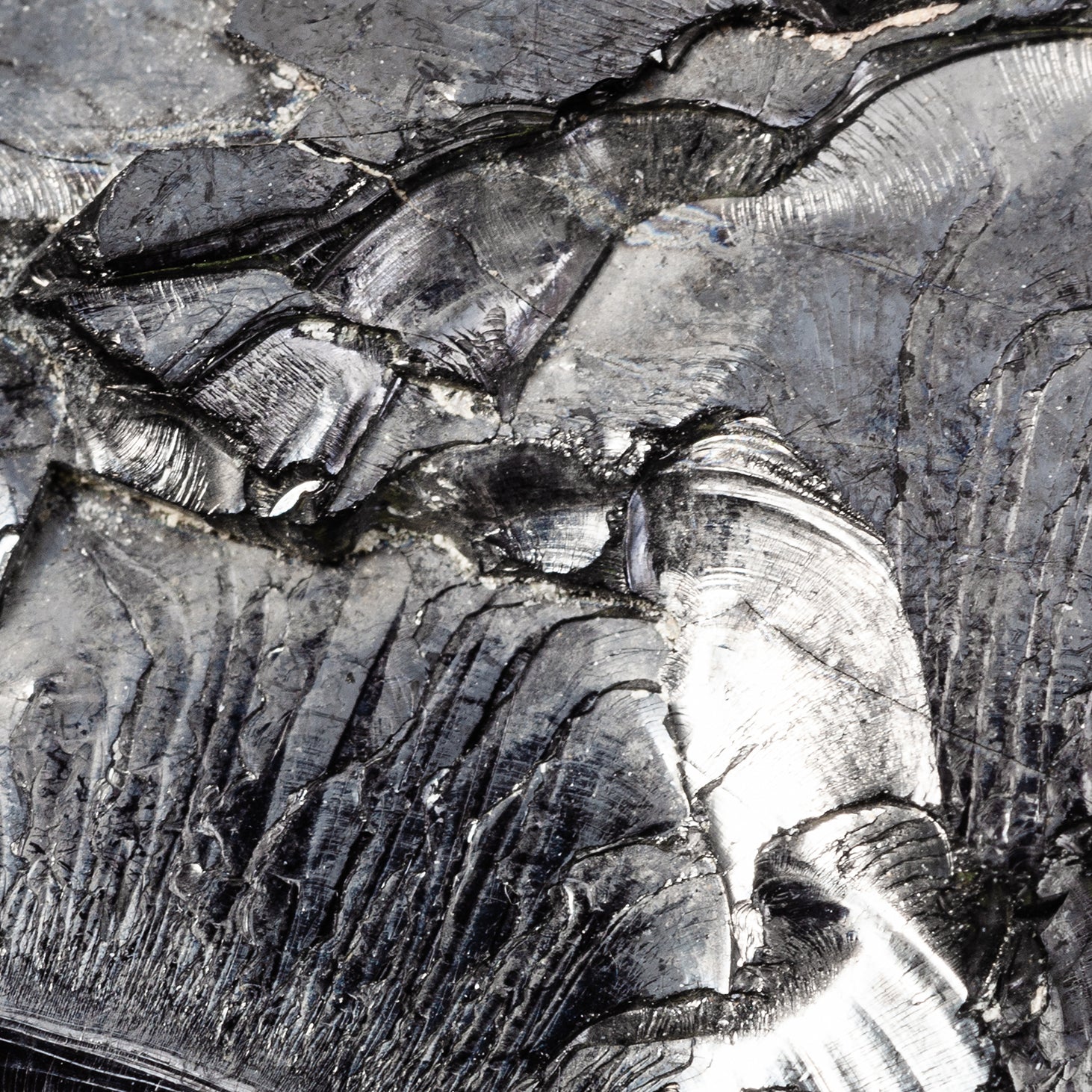 Shungite - Healing Properties, Meaning, and Uses – Rock Paradise