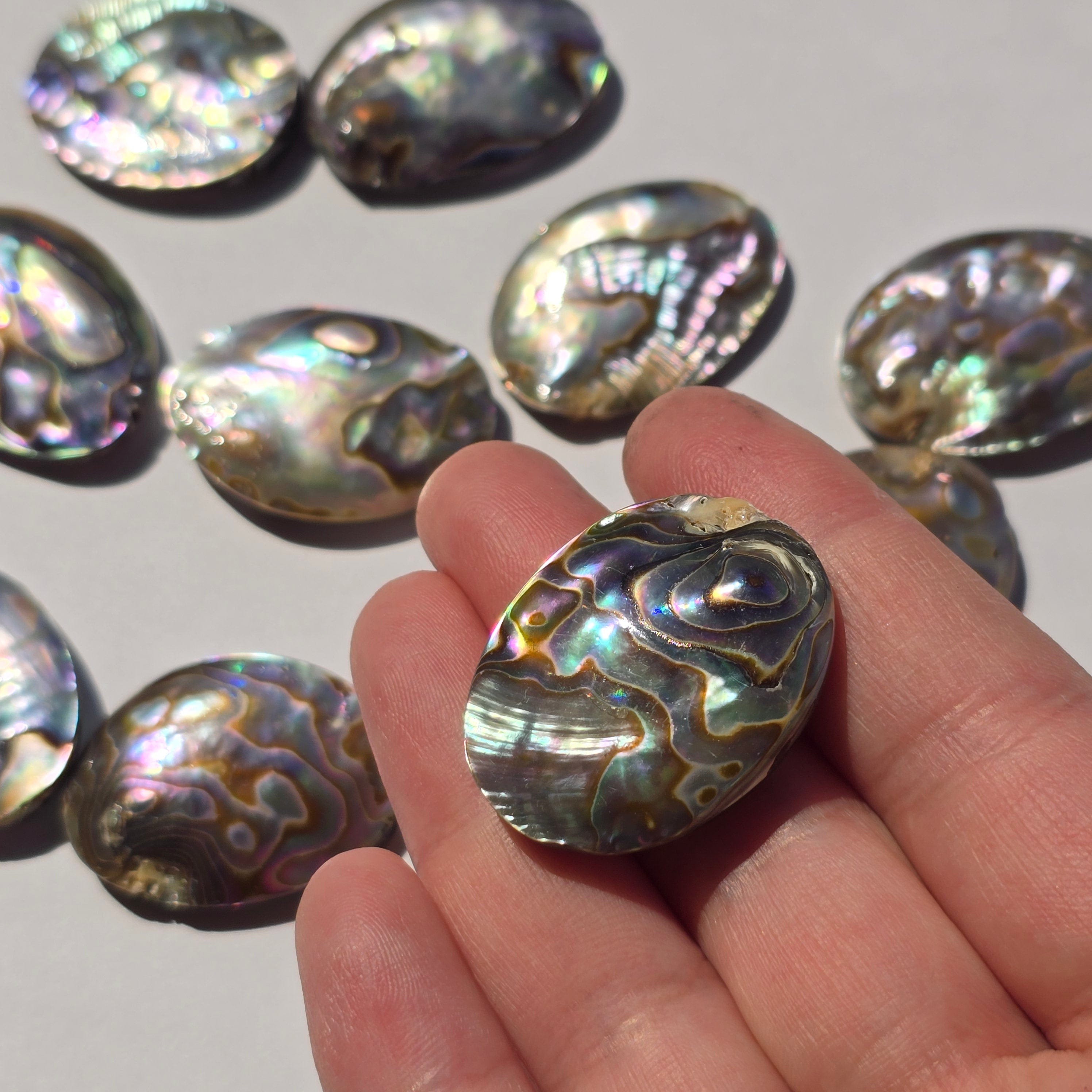 Abalone Shell Oval Bead - Side Drilled – Rock Paradise