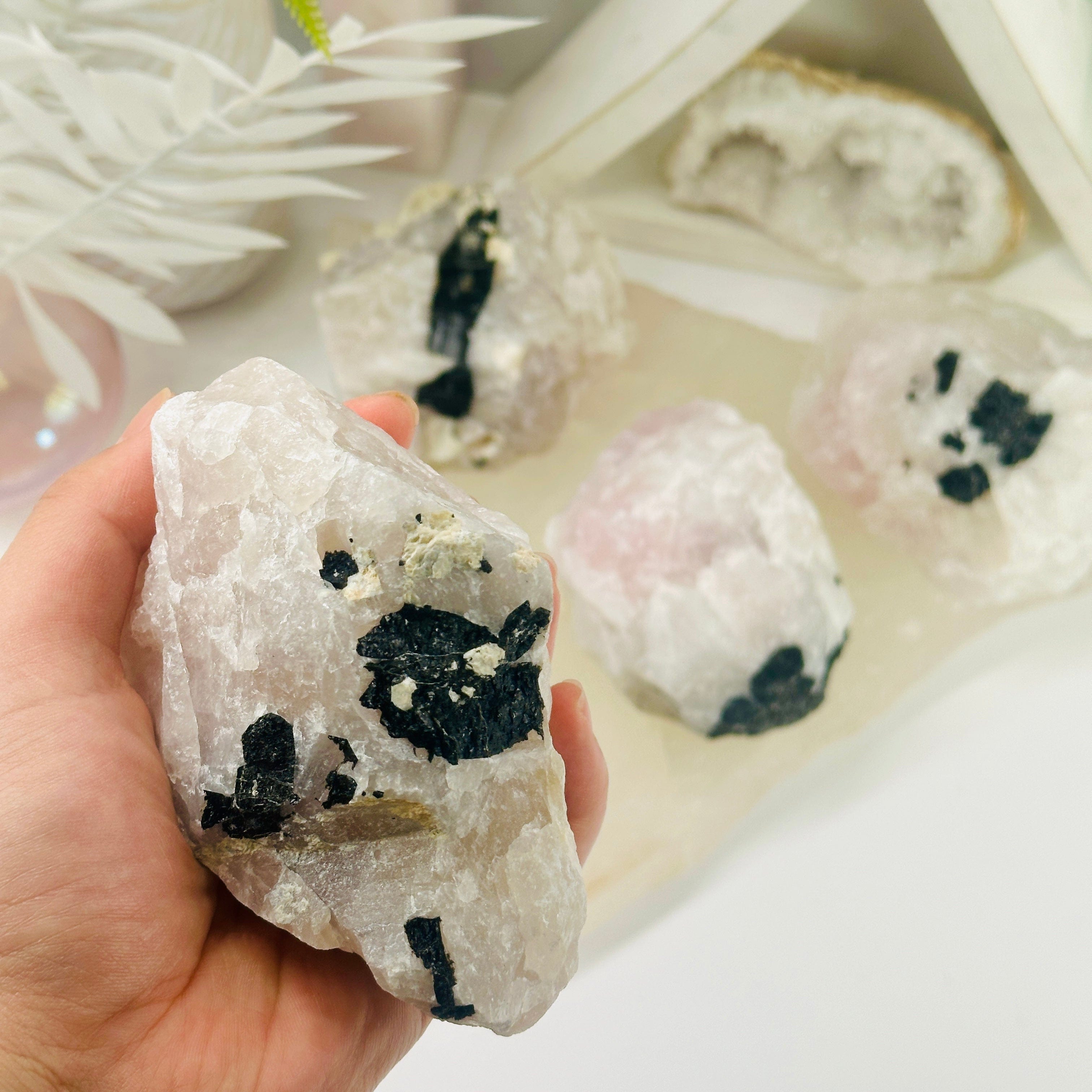 Black Tourmaline on Rose Quartz Matrix Rare Find – Rock Paradise