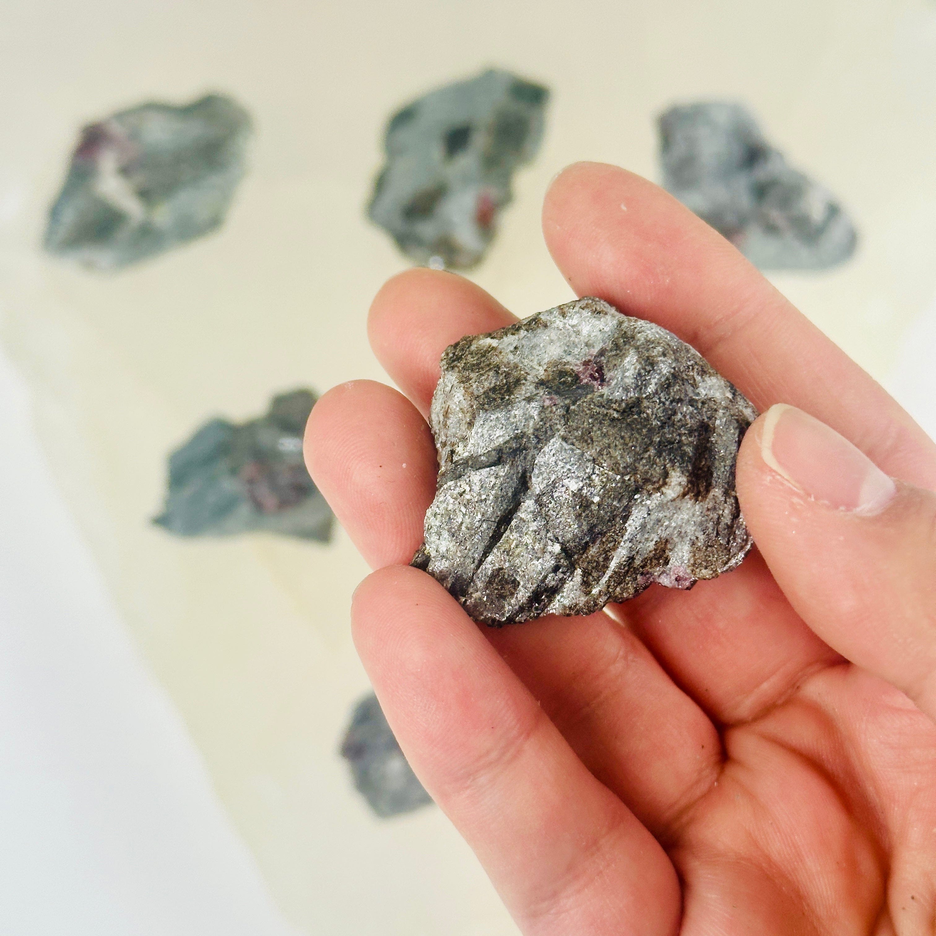 Garnet on Matrix - Natural Crystal - You Choose – Rock Paradise