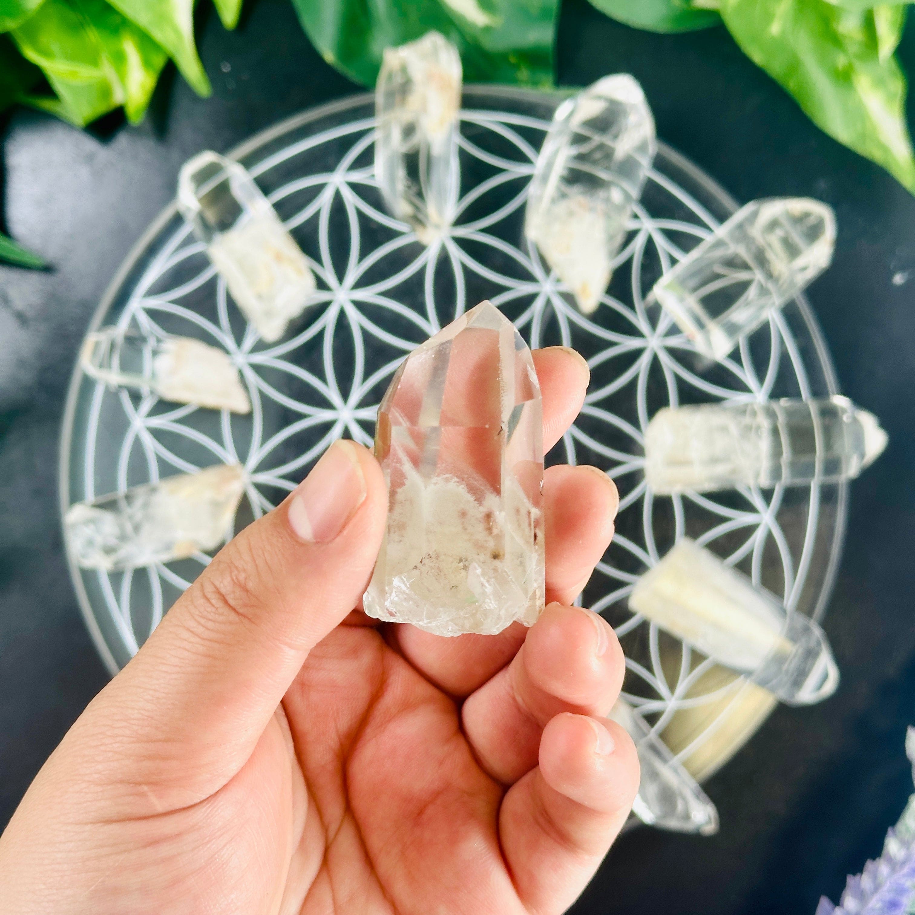 Crystal Quartz Point with Inclusions - High Quality - YOU CHOOSE – Rock ...