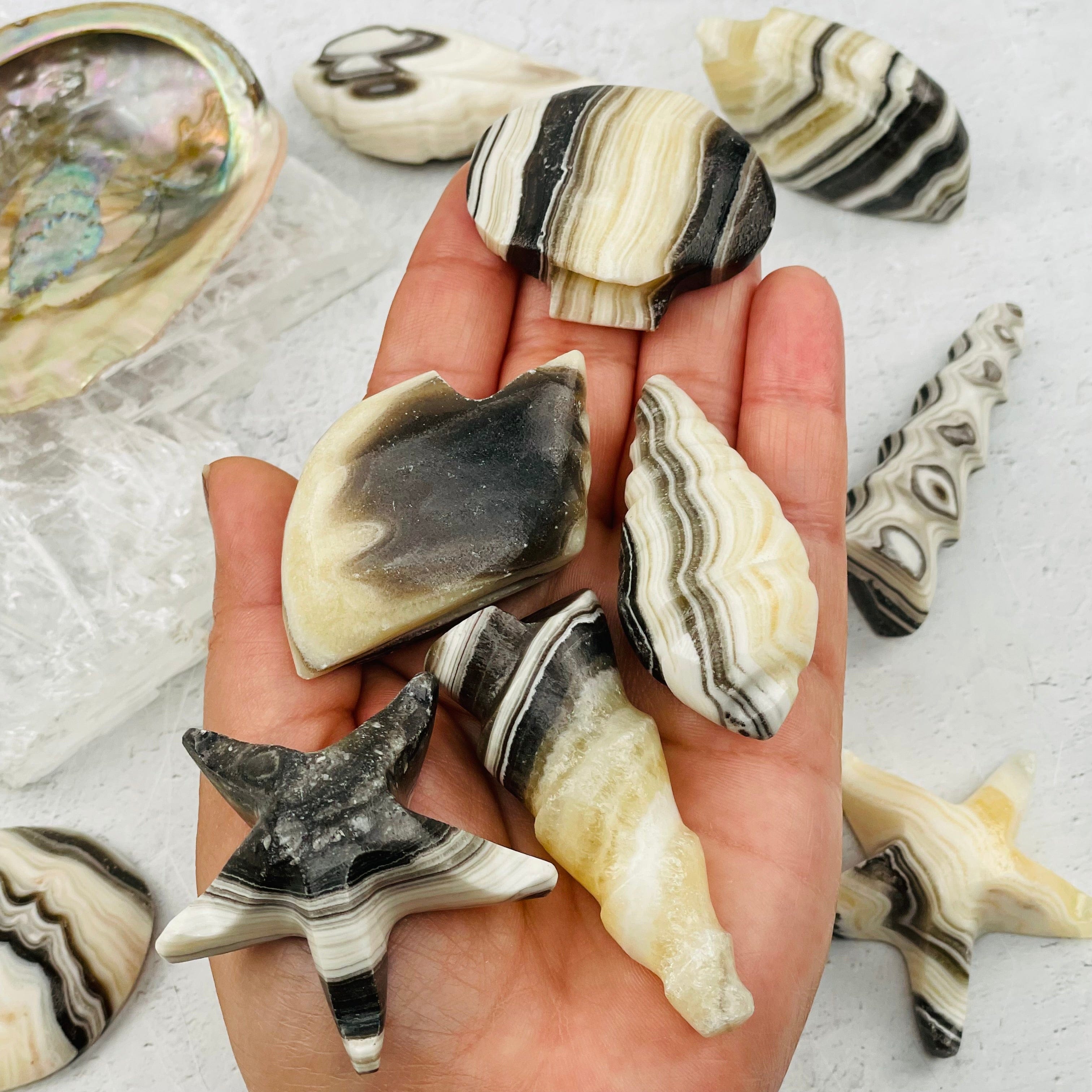 Mexican Onyx Crystal Shells - YOU CHOOSE – Rock Paradise
