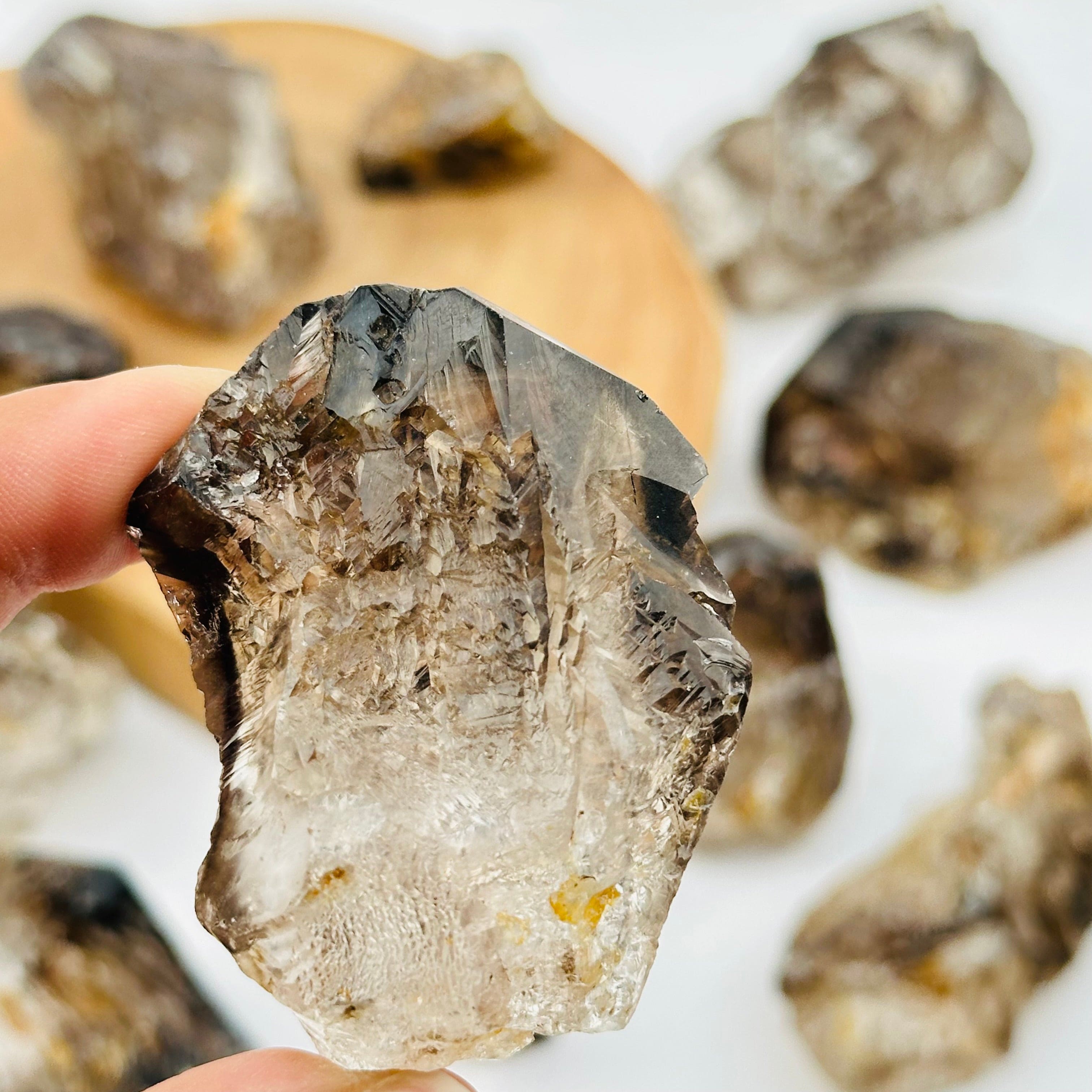 Alligator Smokey Quartz Crystal Cluster – Rock Paradise