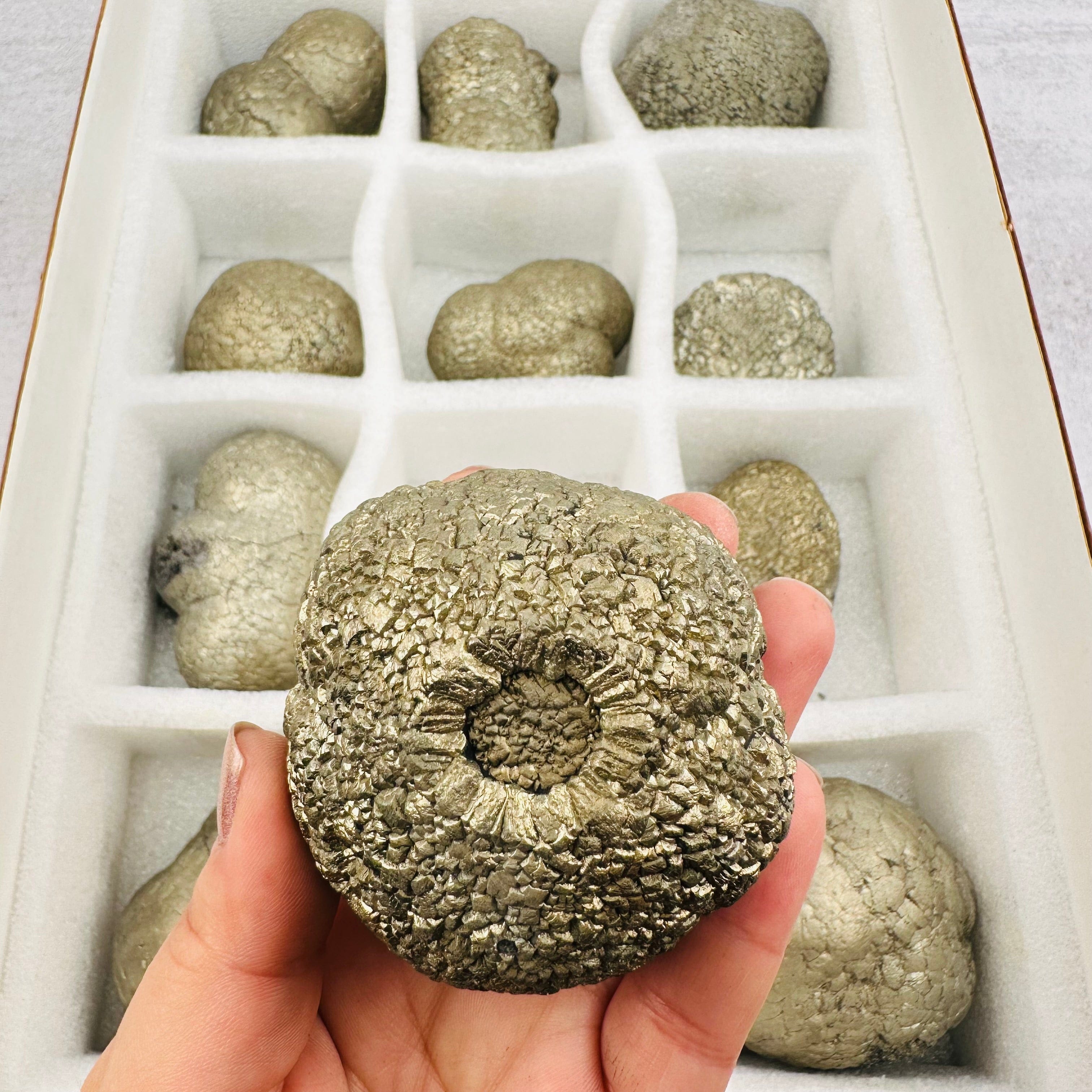 Pyrite Nodule - High Quality - Collectors Piece - You Choose - – Rock ...