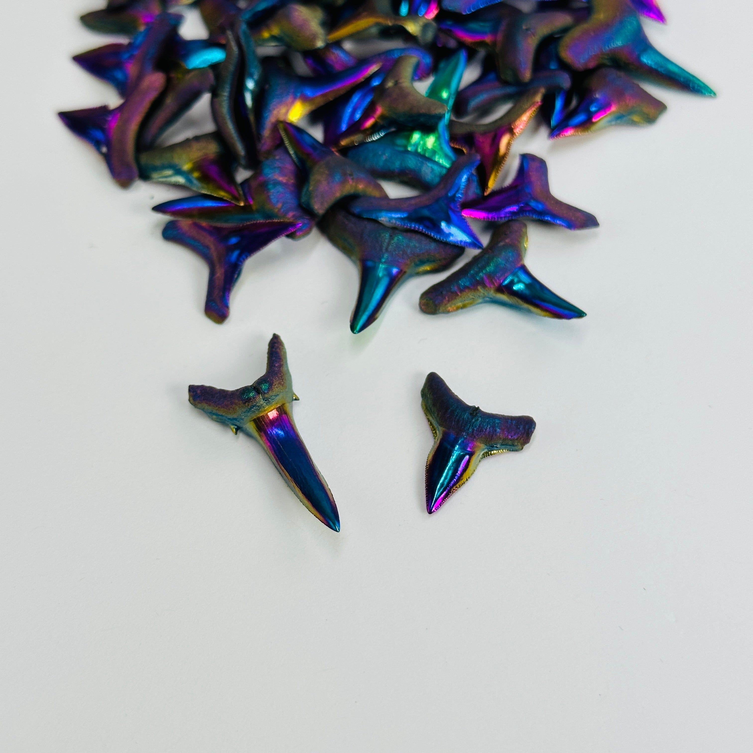Mystic Green and Purple Titanium Coated Shark Tooth – Rock Paradise