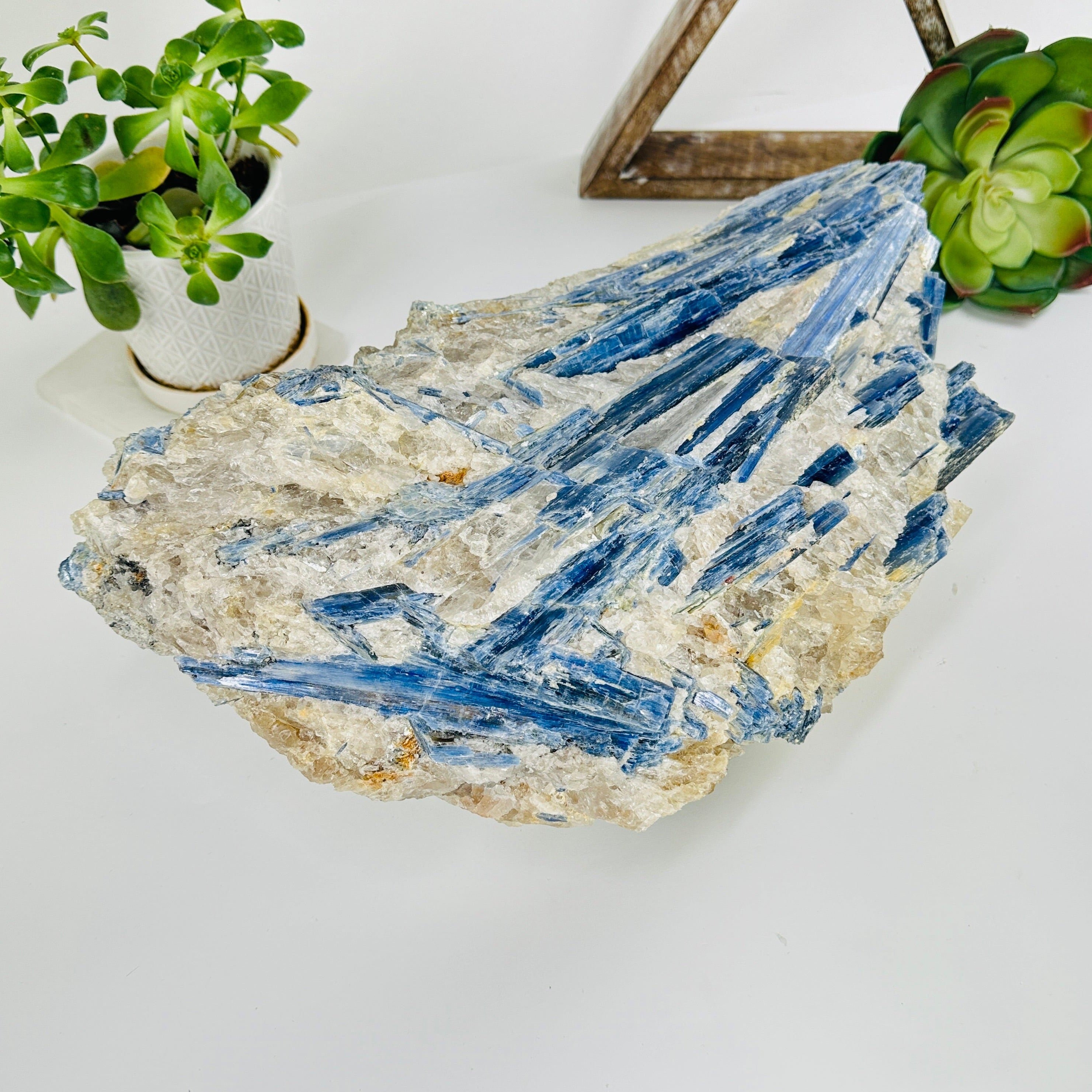 Massive Kyanite Cluster – Rock Paradise