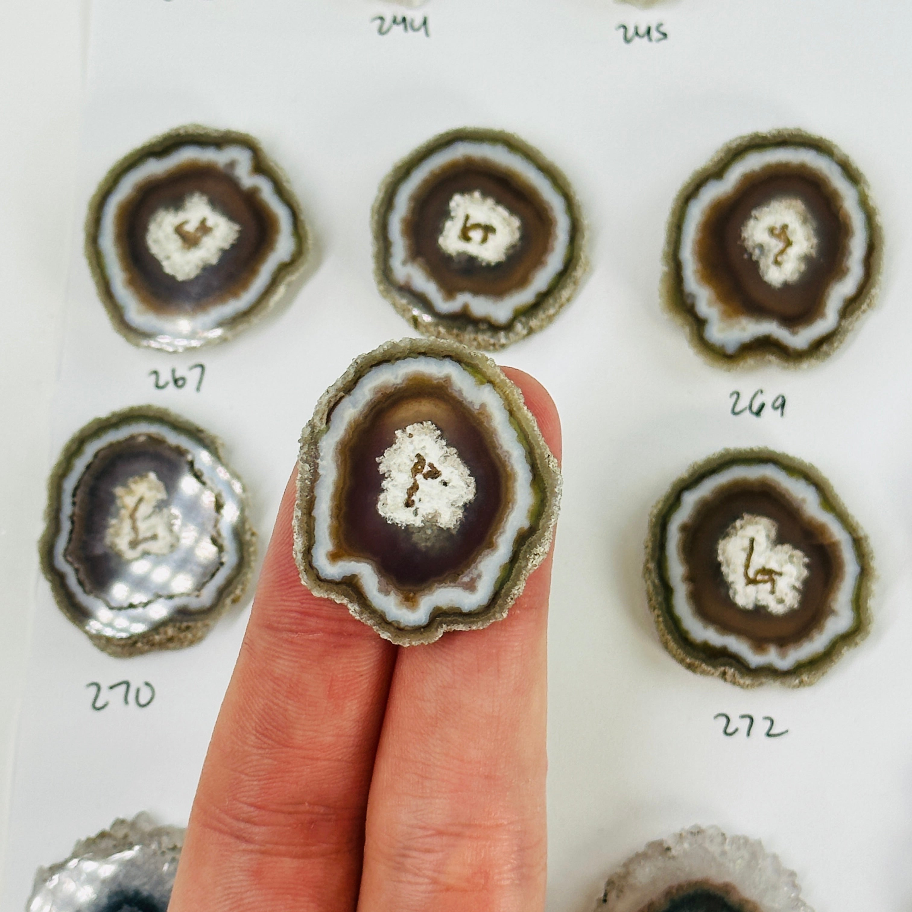 Stalactite Slices Decor YOU CHOOSE – Rock Paradise