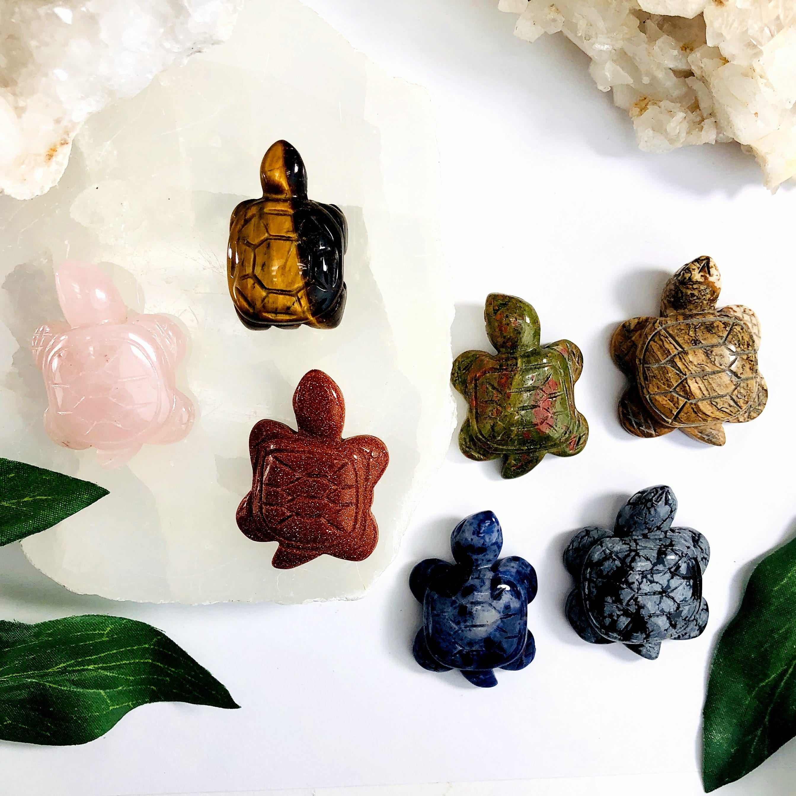 Turtle Gemstone Cabochons - Large (RK33B30) – Rock Paradise