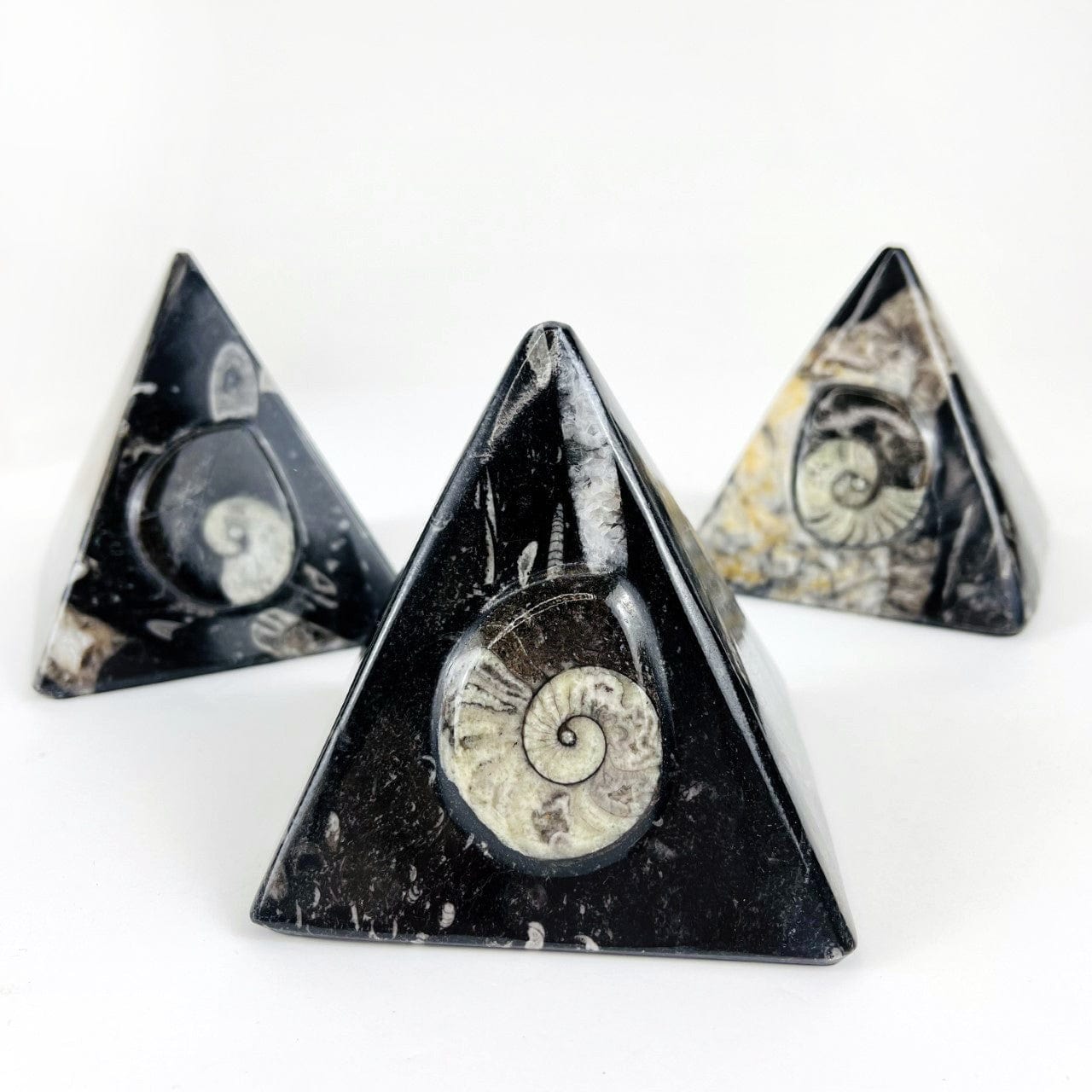 Ammonite and Orthoceras Fossil Pyramid – Rock Paradise