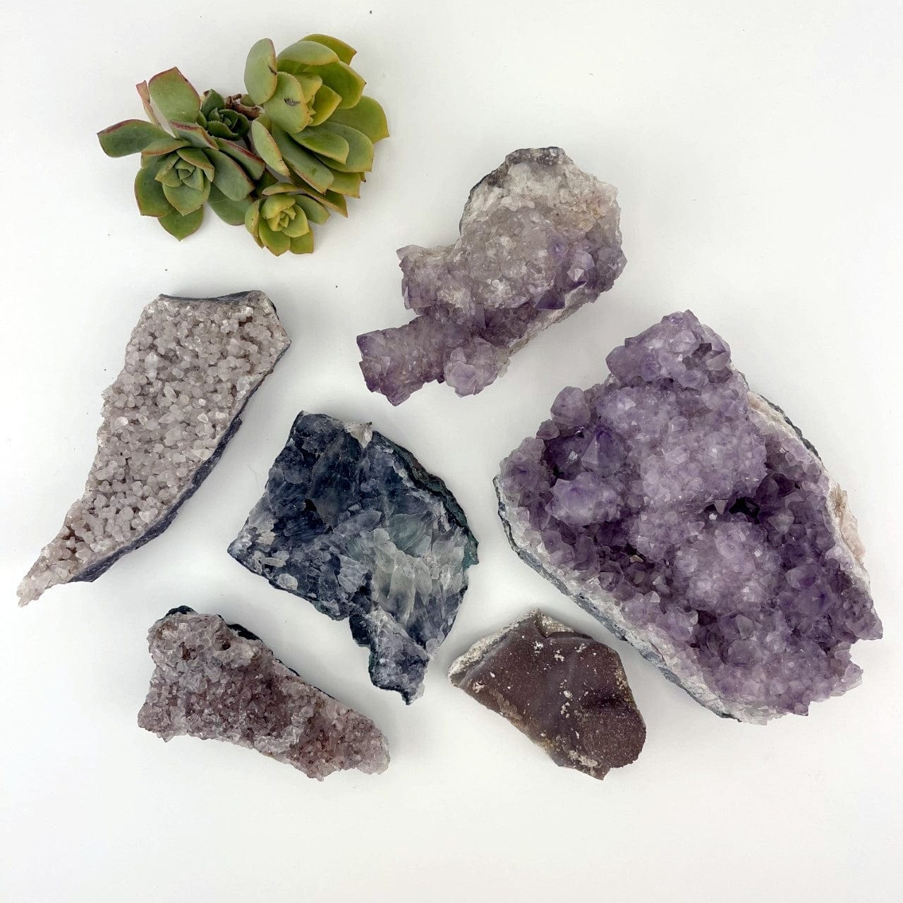 Bulk Lot 6 Amethyst Cluster Formations – Rock Paradise