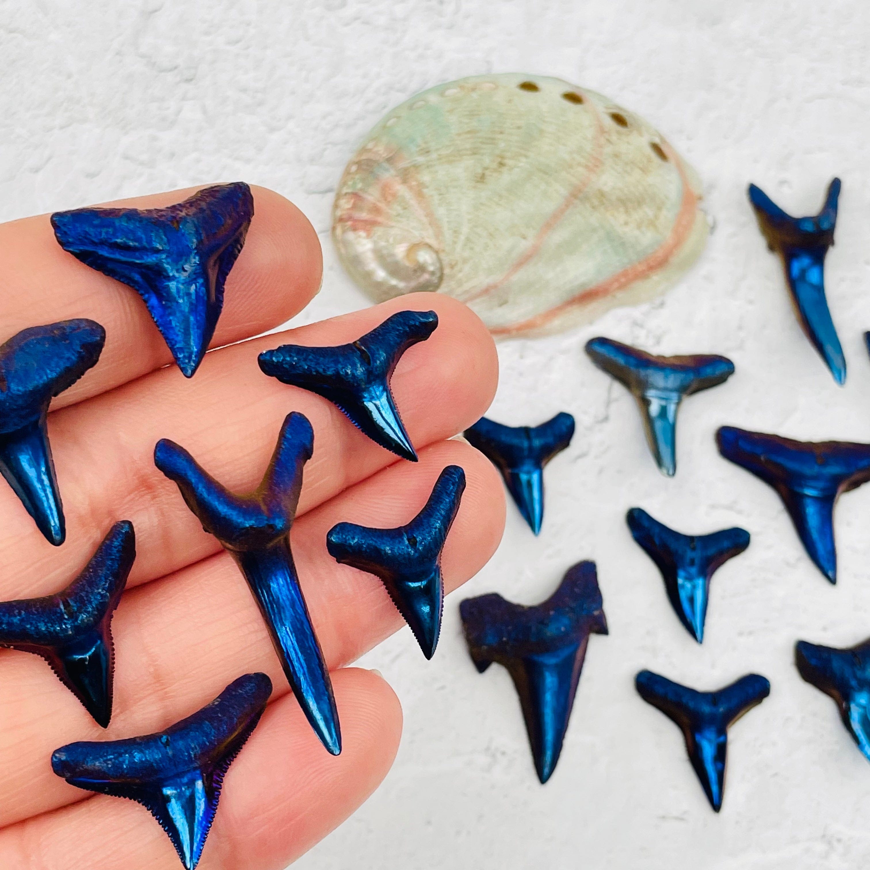 Titanium Shark Tooth - Mystic Blue (RK36B29-01) – Rock Paradise
