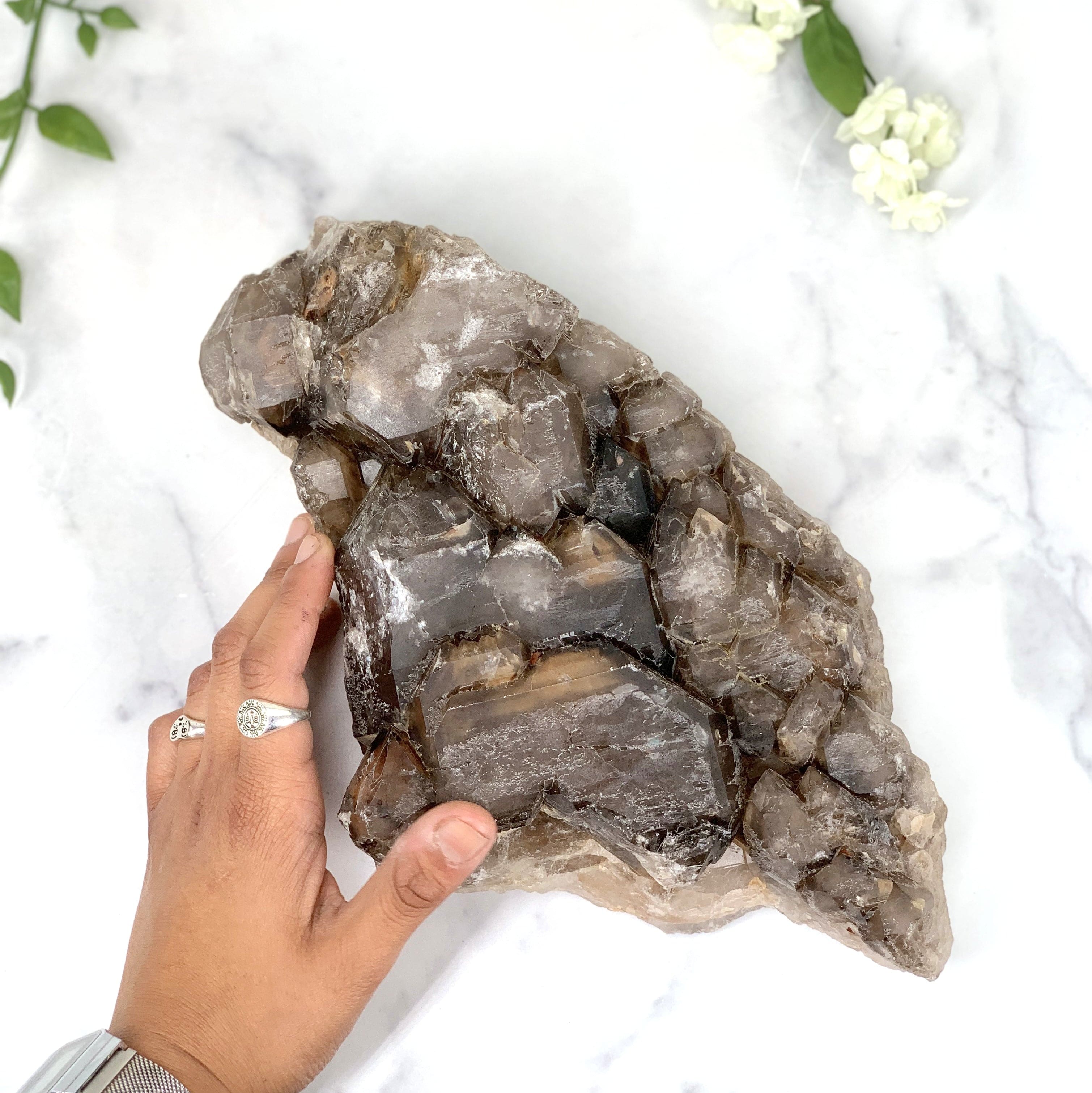 Large Alligator Quartz Cluster – Rock Paradise