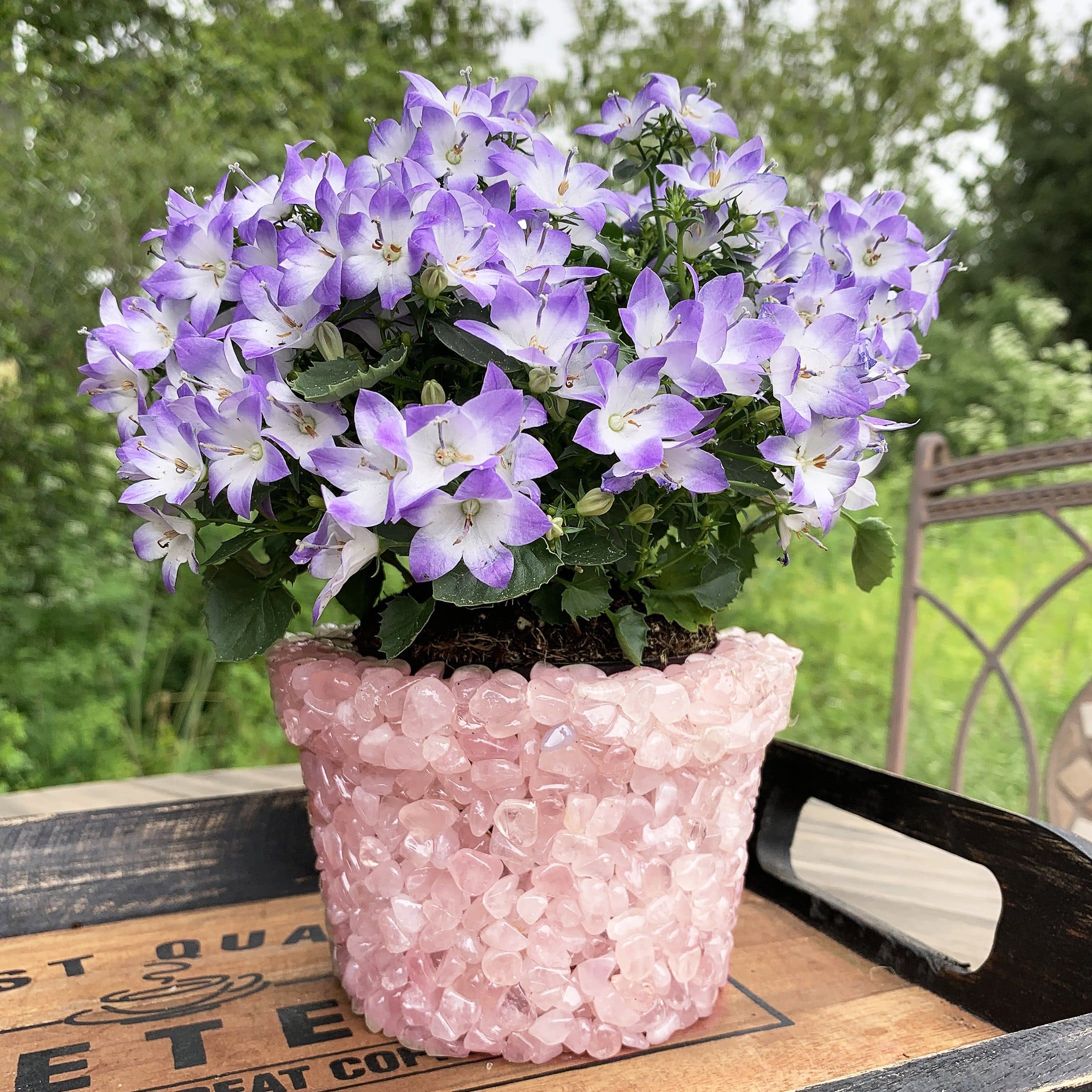 Tumbled Stone Planter – Rock Paradise
