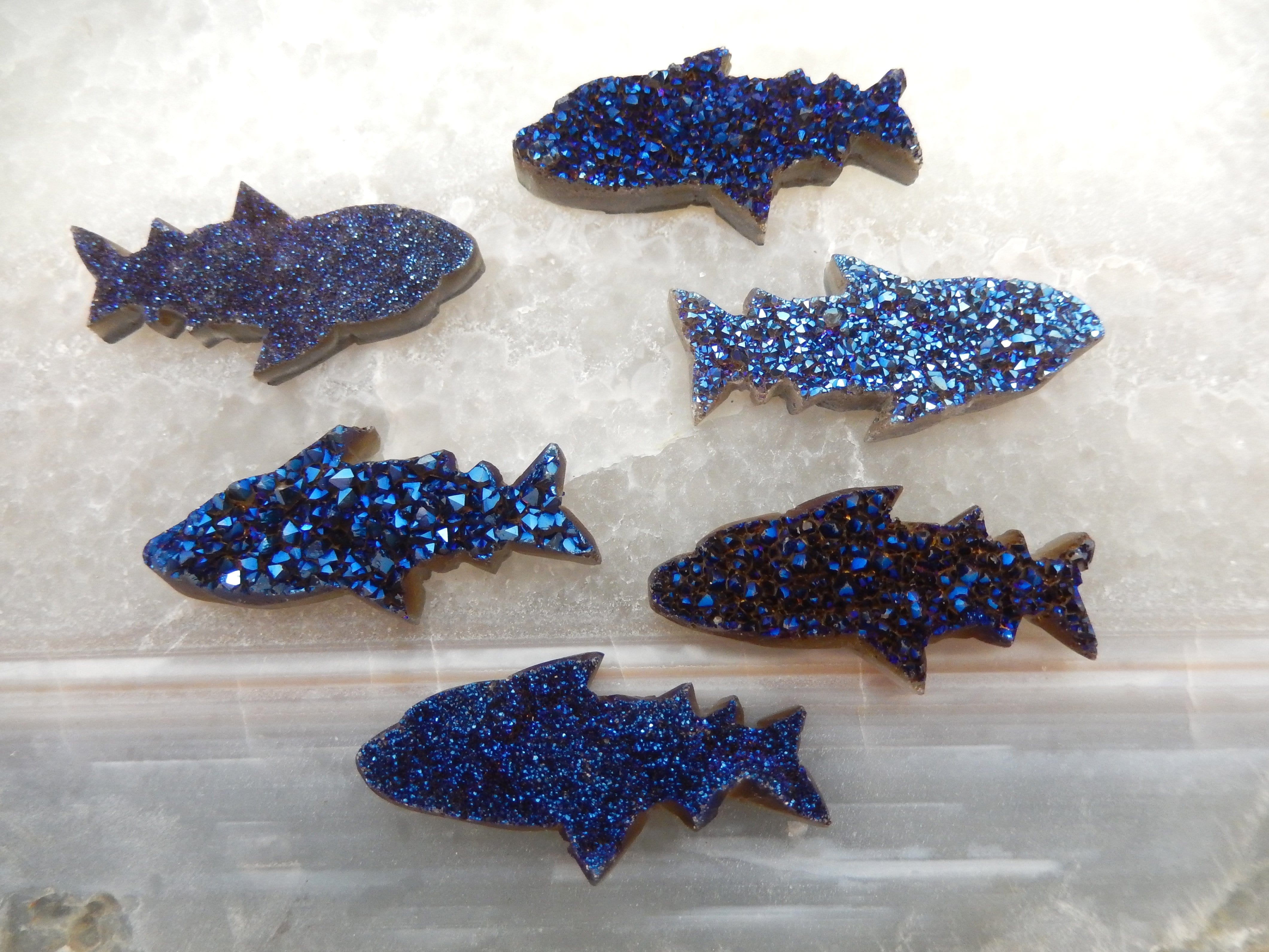 Druzy Shark - Mystic Blue Shark Fish Cluster Cabachon – Rock Paradise