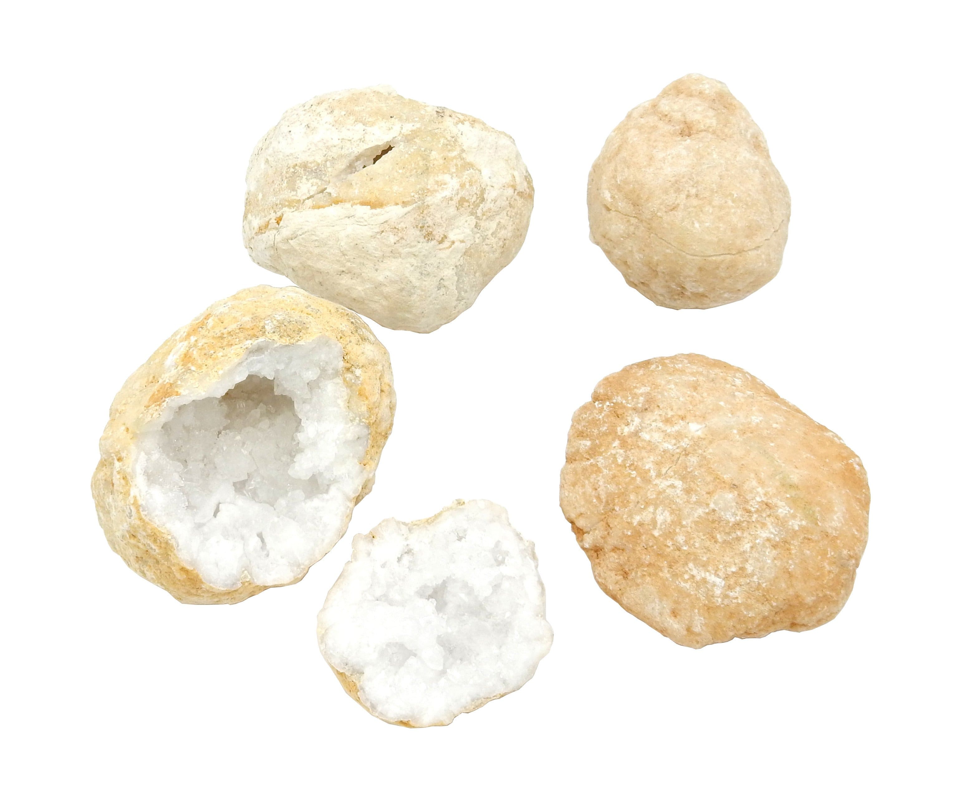 Open Your Own Geode - X-Small White Color Druzy Geodes - Gorgeous Disp ...