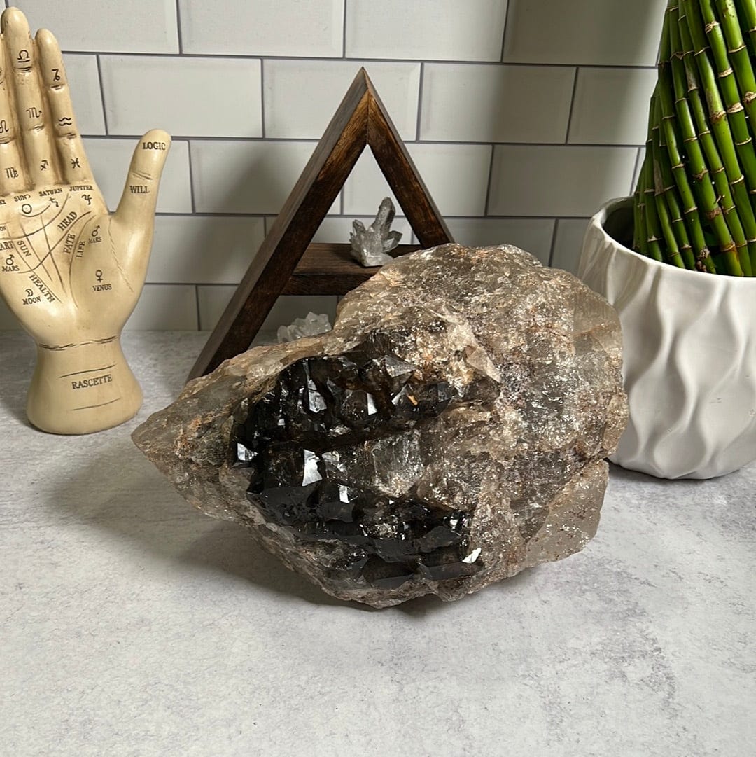 Alligator Smokey Quartz Cluster – Rock Paradise