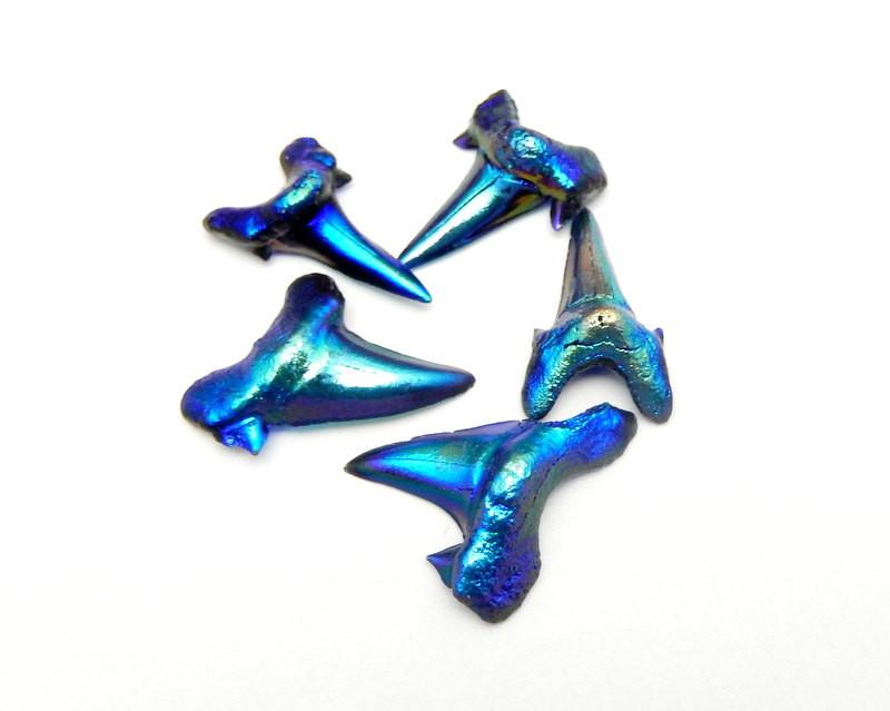 Mystic Blue Titanium Shark Tooth (RK36B29-02) – Rock Paradise